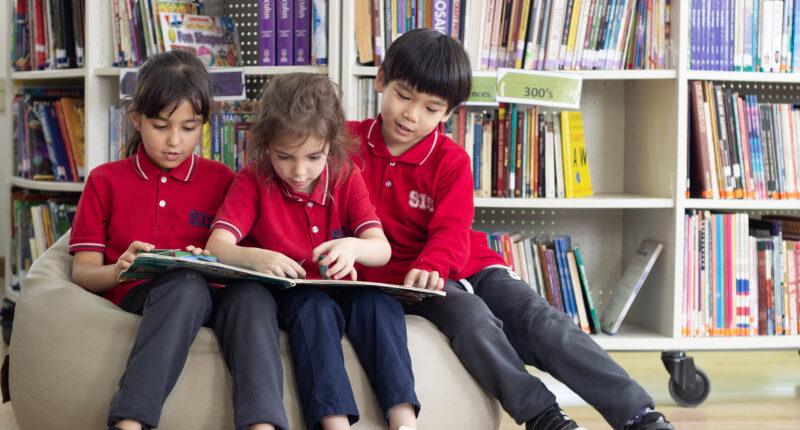 Profile – SIS-Cairo