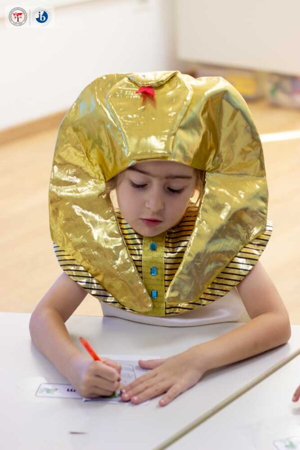 Profile – SIS-Cairo